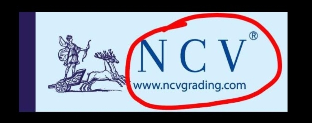 Dentro de NCV GRADING: orígenes y misión - NCV Grading